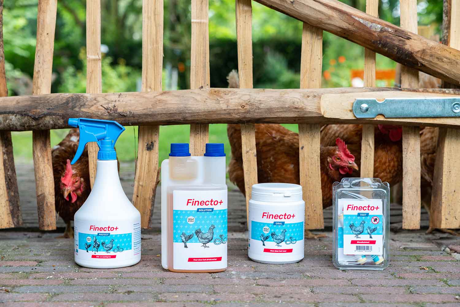 Vogelvereninging 't Sieske - NIEUW ! Finecto+